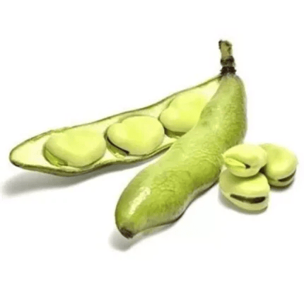 Fèves Frais & de Saison à Oujda | Livraison en 4h